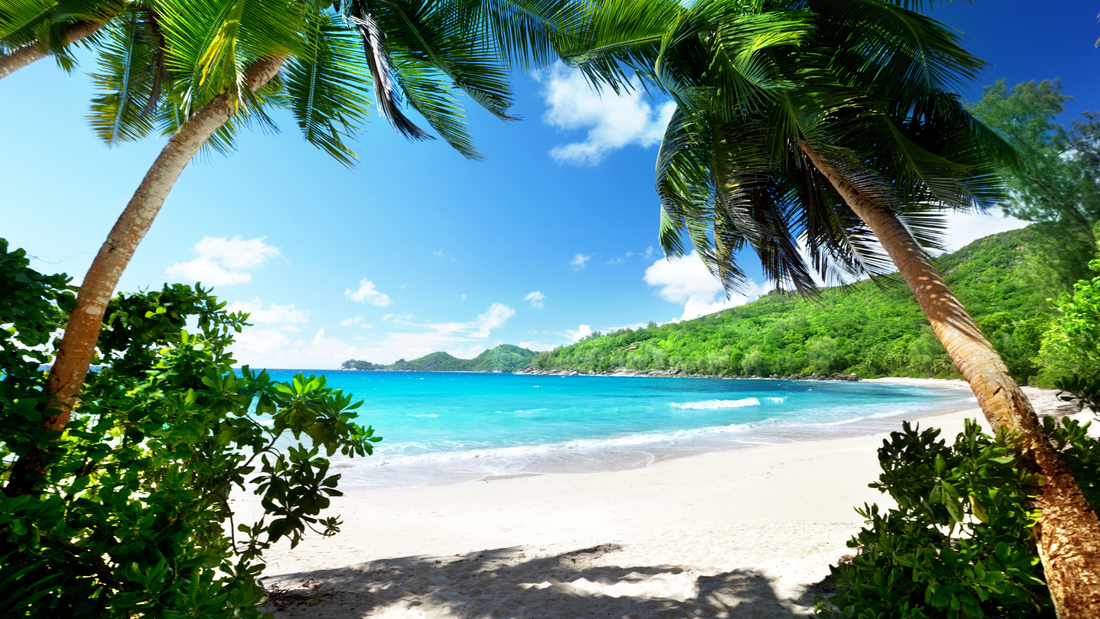 Beach Geeza | Your favorite beach, in a bottle. – Beach Geeza Fragrances